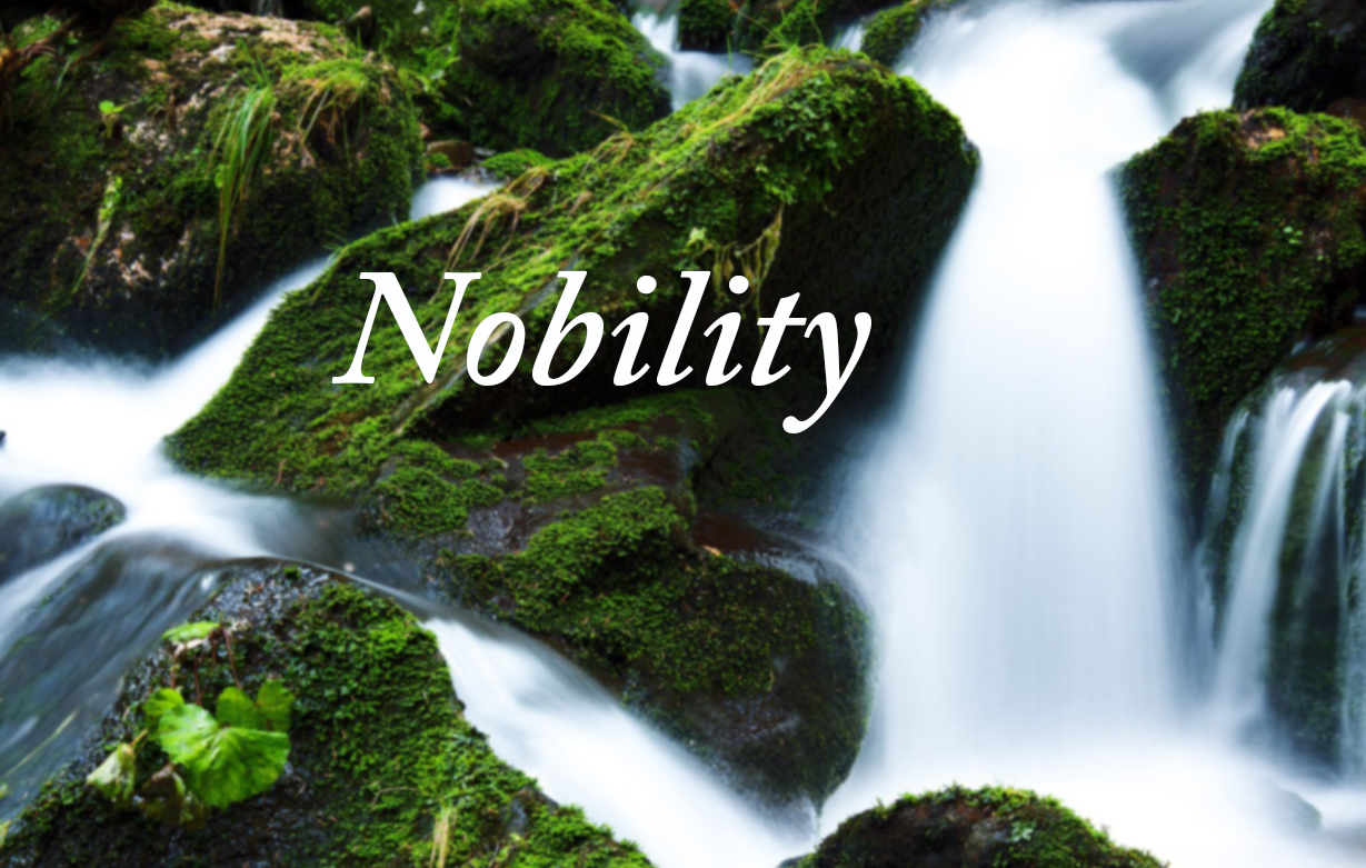 What is nobility? - Ask Alok Da