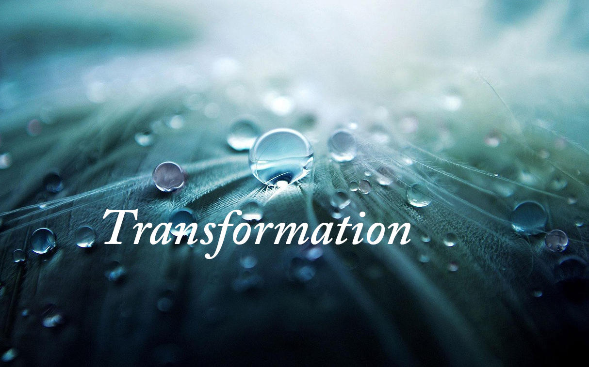 In the path I find that the attention gets carried away to the ...