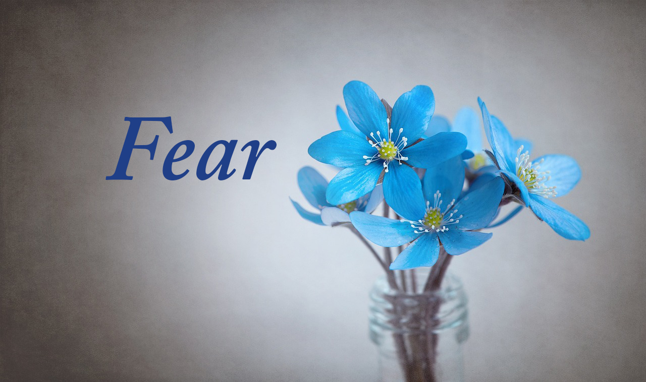 Why are our actions always driven by fear? Why can't it be driven by ...