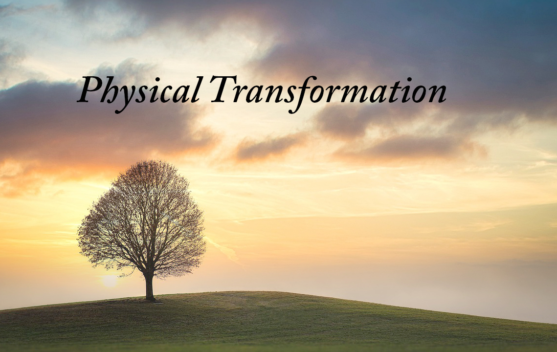 What is physical transformation? Can you describe this? What are the ...