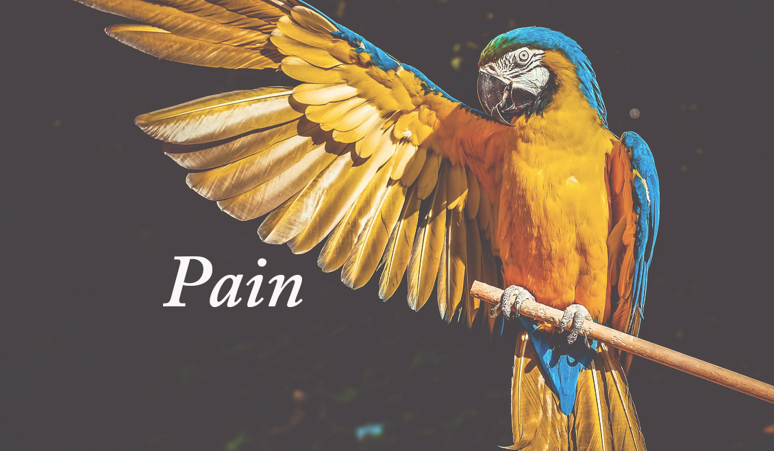 Why pains comes? Why God has created pain🥲? - Ask Alok Da