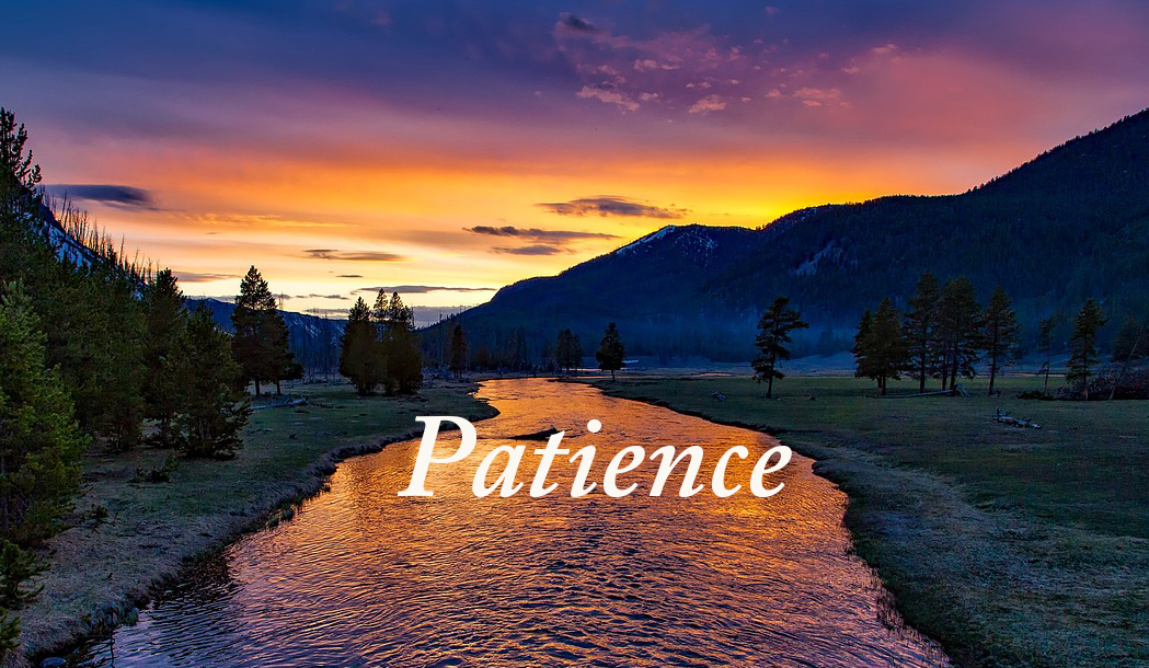 How can one learn to be patient😐? - Ask Alok Da