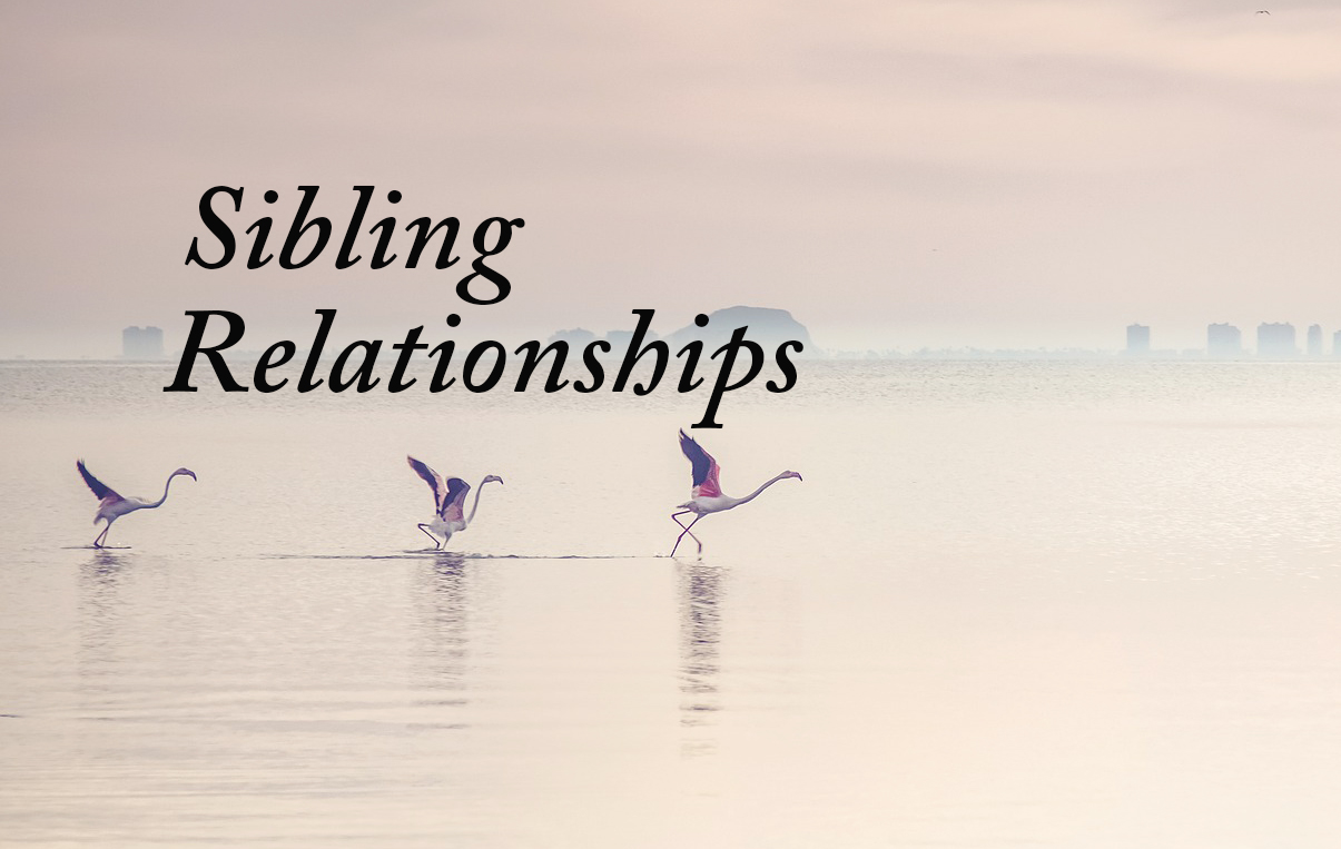 How can I guide and support my younger sibling during his college ...