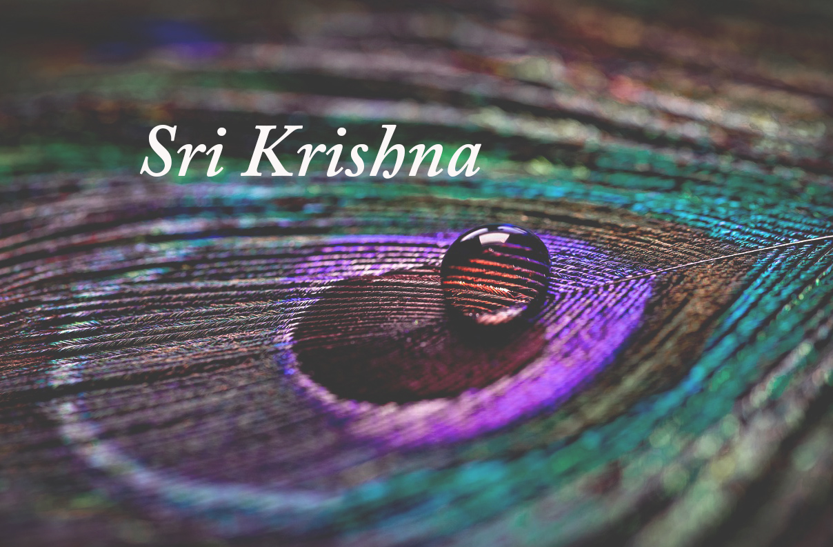 If Sri Krishna picked up the wheel for Arjuna why did he not break his ...