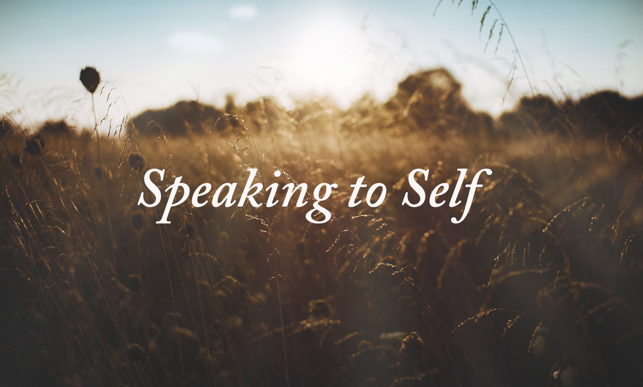 When someone talks to themselves, who are they talking to😏? The mind is ...