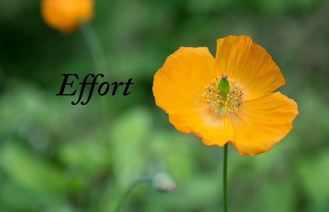 I have a question about effort. What does it mean when we wish for ...