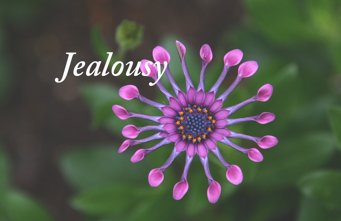 How to deal with jealousy in close relationships😥? - Ask Alok Da