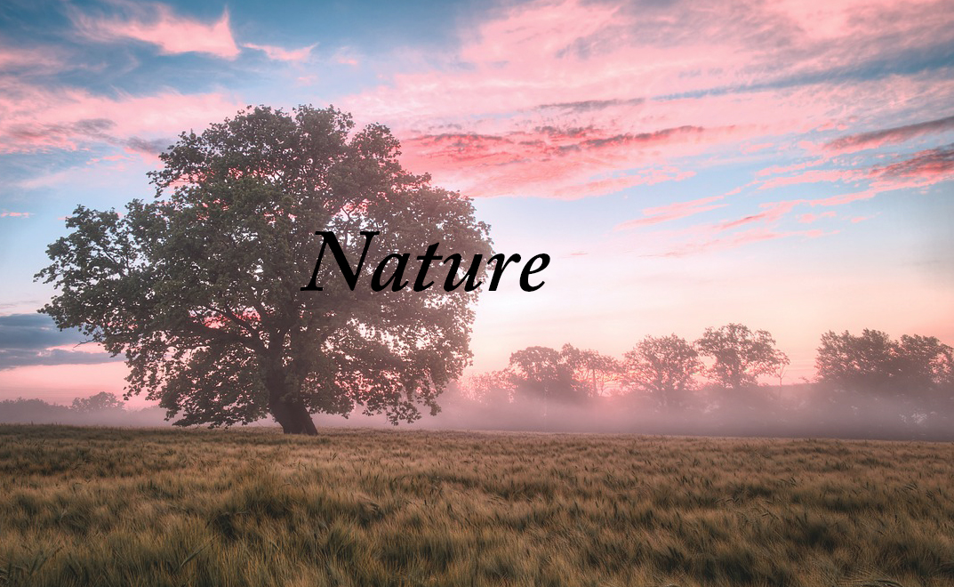 Alok da, reading Sri Aurobindo's poem on the tiger and the deer made me ...