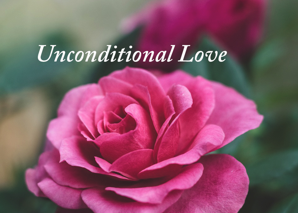 So much is spoken about unconditional love as an antidote to selfish ...