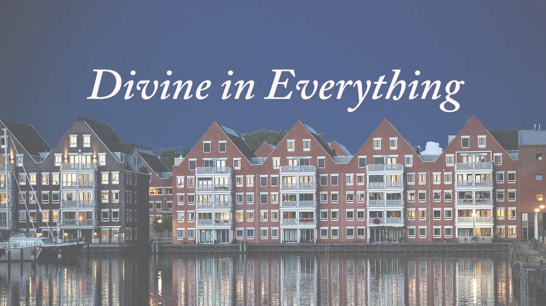 If Divine is in everything, why are there such repulsive places and ...