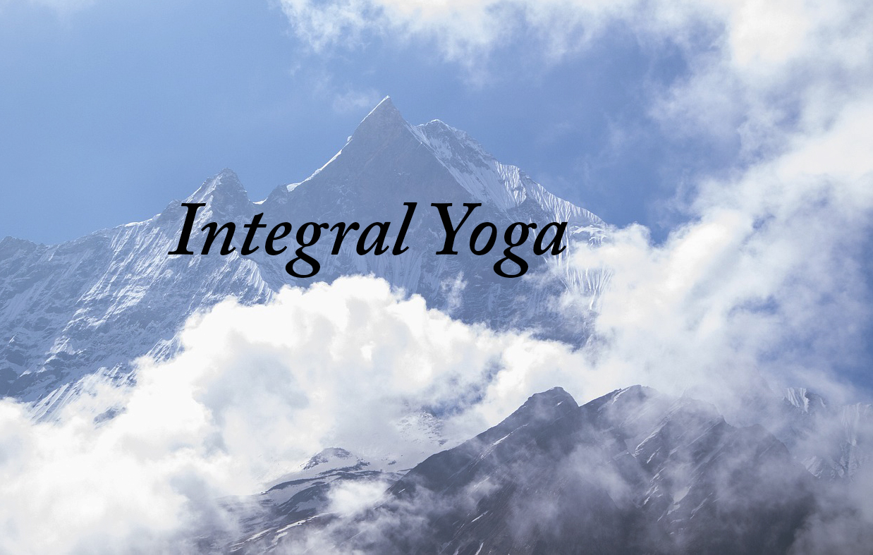 Alok da what is the steps of soul and stages of Sri Aurobindo's ...