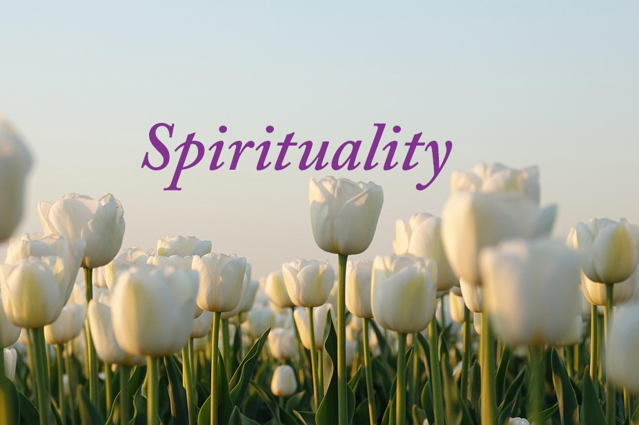 What is the difference between a Spiritual Experience and an ...