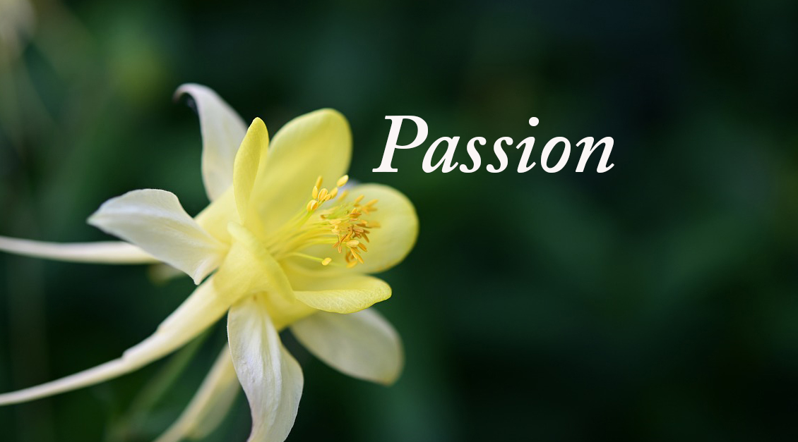 “Follow your passion” some people say. I am stuck a little. I have a ...