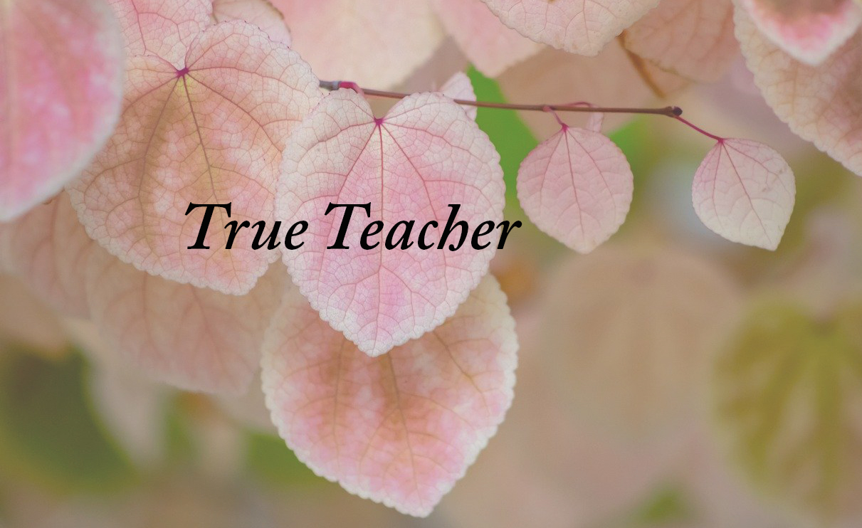 I have a deep yearning for Progress, and the Teacher has played a ...